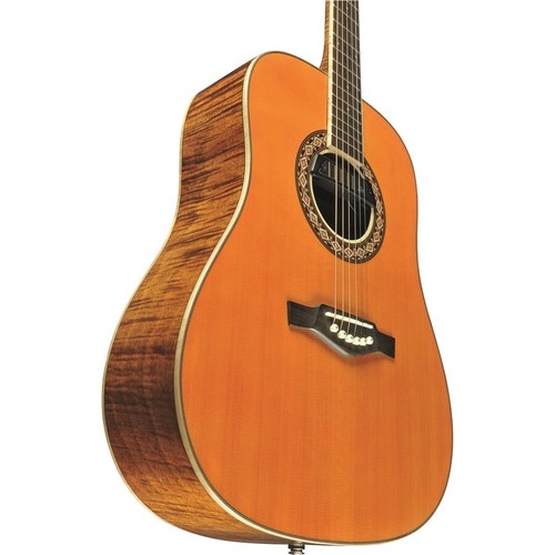 Eko Ranger Futura Electro Acoustic Guitar With Fishman Flex Plus T ...