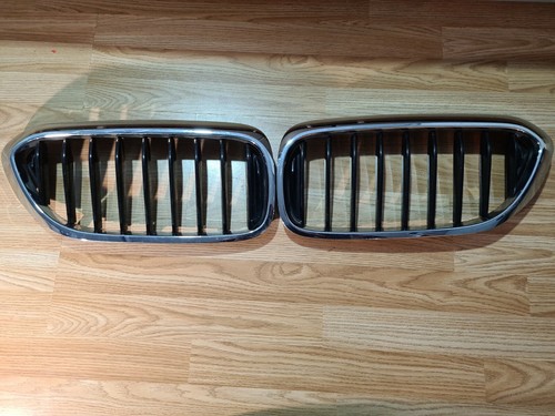 BMW 5 G30 Front Left and right Kidney Grille 7473691 51137473691 NEW ...
