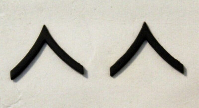 US Army Private Collar Subdued Rank Insignia Pins Pair | eBay