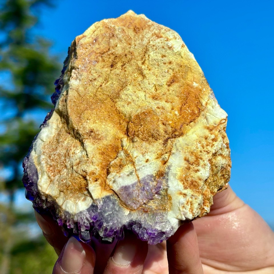 315G Natural Amethyst Cluster Quartz Crystal Backbone Mineral Specimen ...