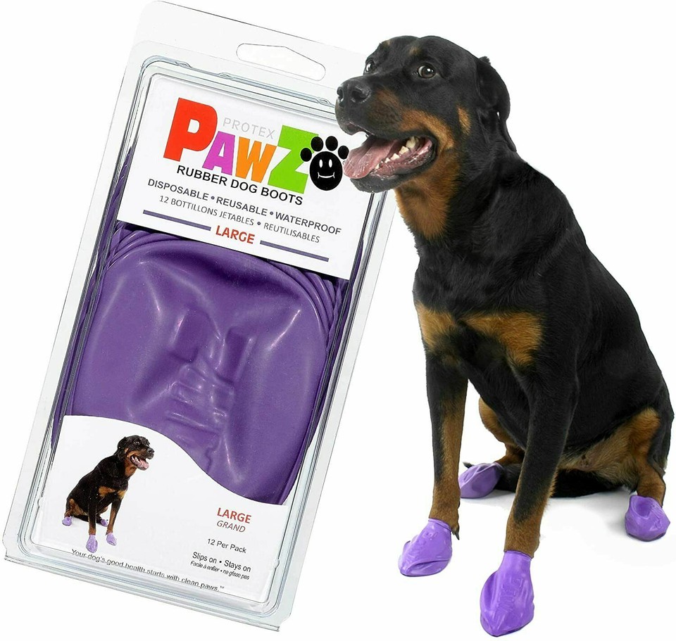 Pack of 12 Pawz Disposable Reusable Dog Boots Wound Recovery All ...