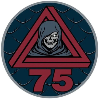 US Space Force 75th ISR Squadron Self-adhesive Decal | eBay