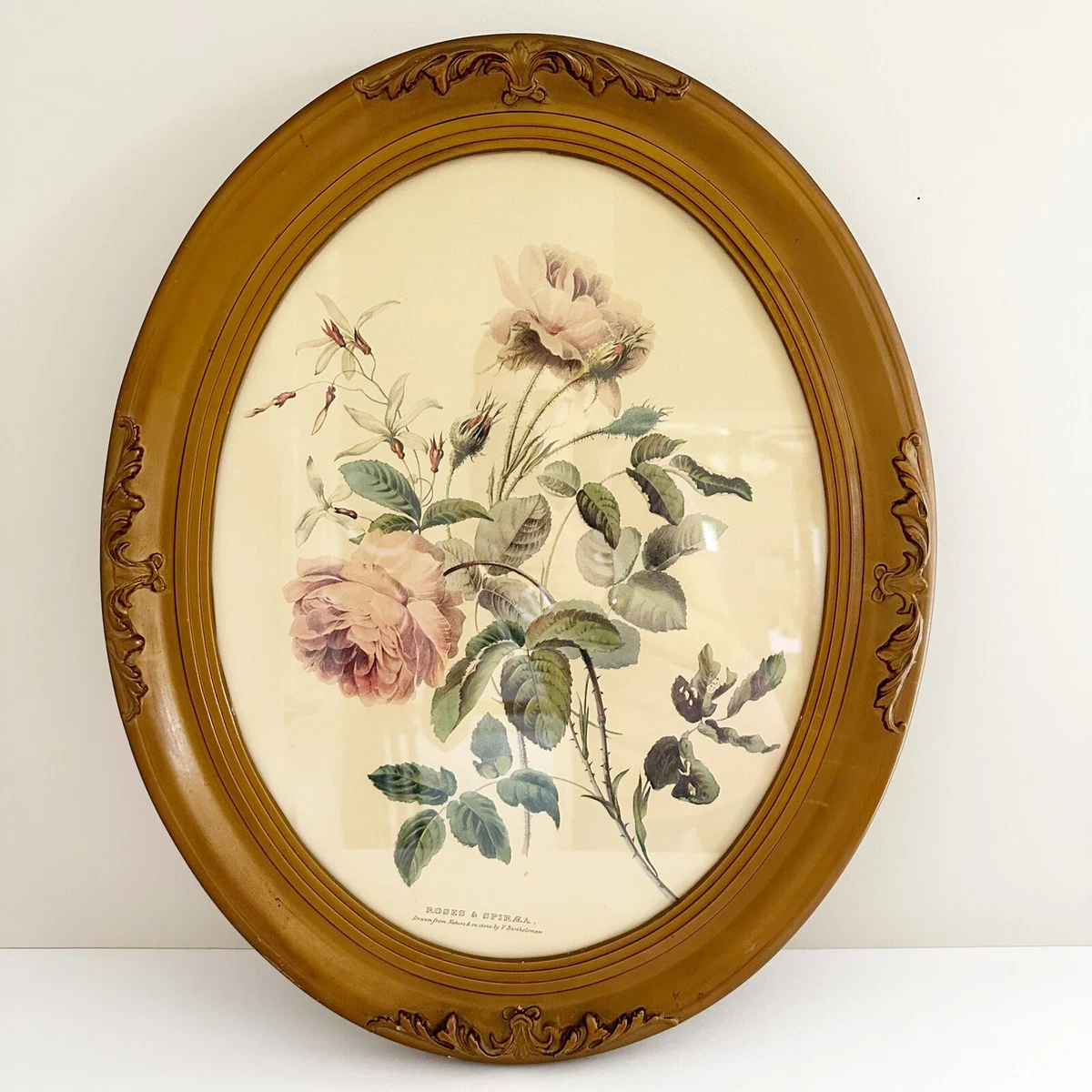 Vintage Rose Frame