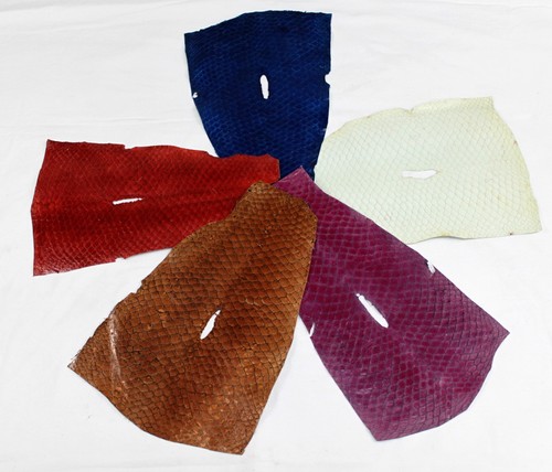 Set of 5 genuine carp skins assorted colors | eBay