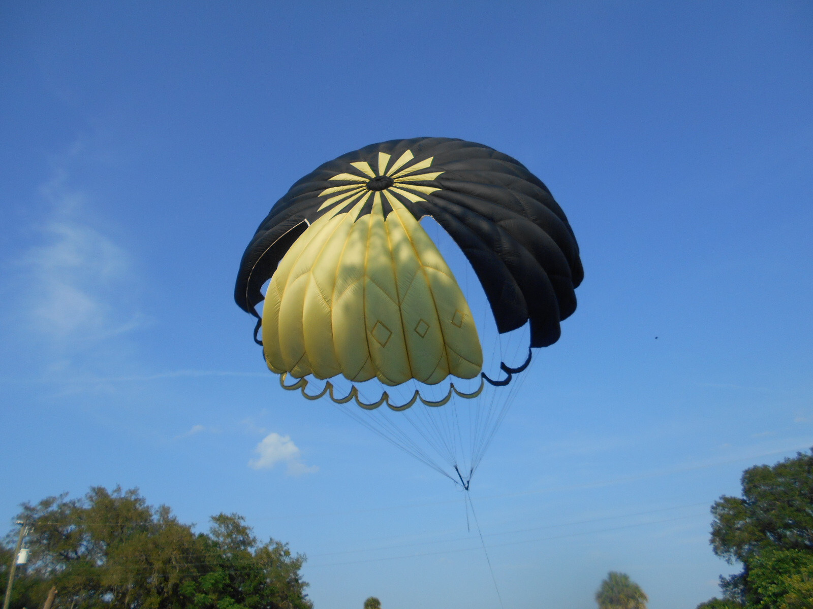 1963 military (APT) Army Golden Knight parachute w sleeve | eBay