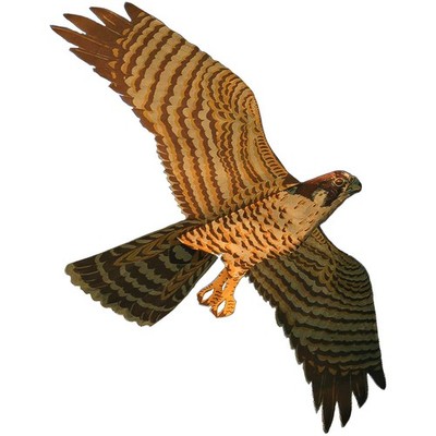 Jackite Falcon Predator Kite | eBay