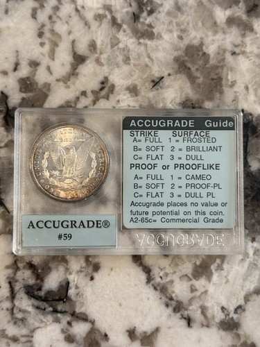 1900 O Morgan Silver Dollar (Accugrade-Toned) | eBay