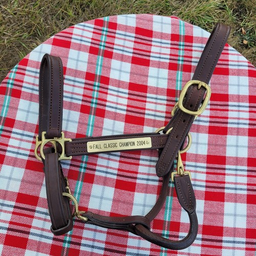 Horse Halter Leather Fall Classic Champion Award R.E. Fennell Company ...