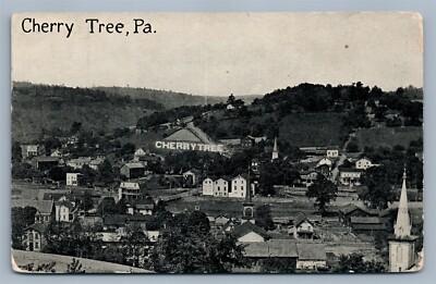 CHERRY TREE PA ANTIQUE POSTCARD | eBay