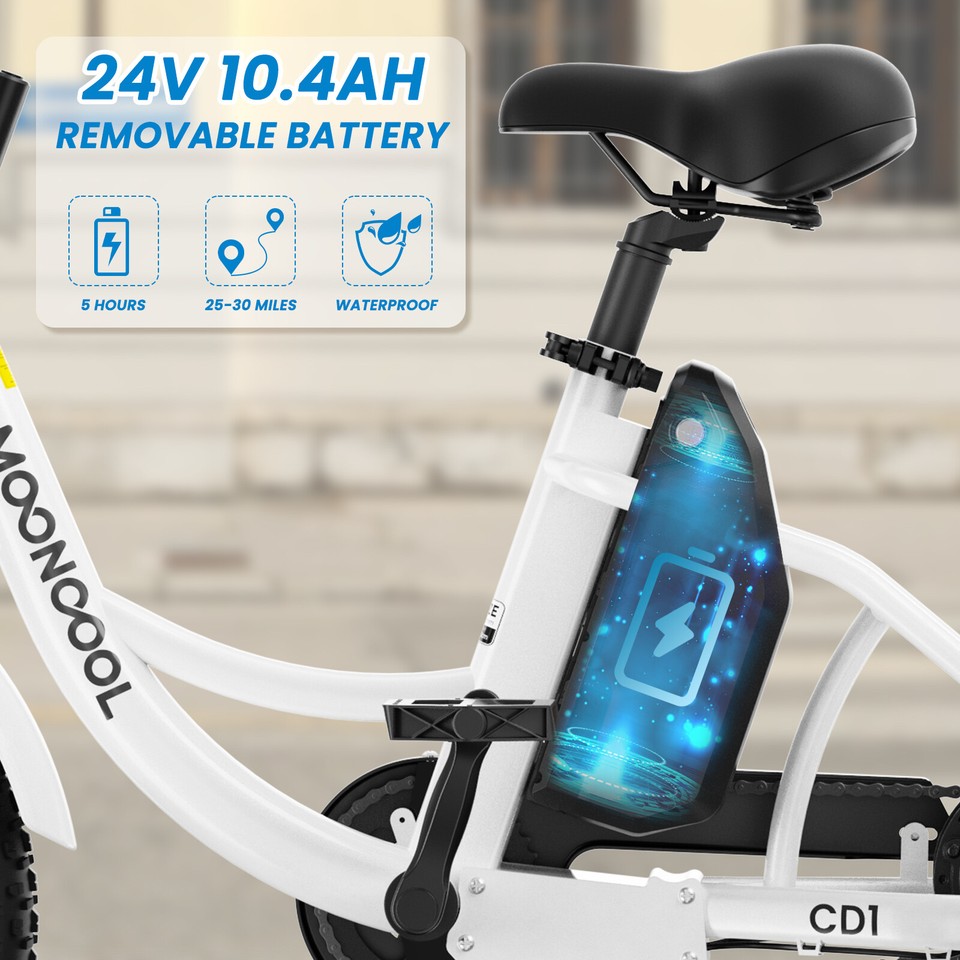 NAIZEA Electric Tricycle 16"x3 Fat Tire Electric Trike 250W 24V 10.4Ah ...