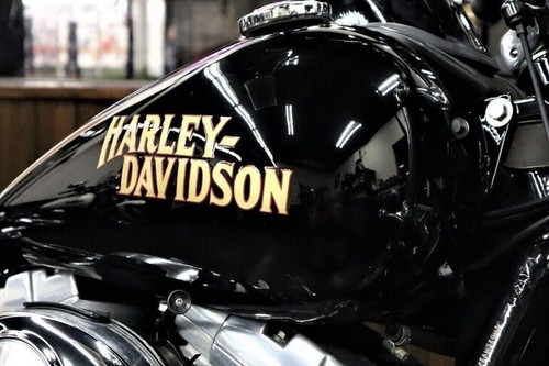 AMF Harley Davidson FXLR FXEF FXE 1977 LOW RIDER Gas Fuel Tank Decals ...