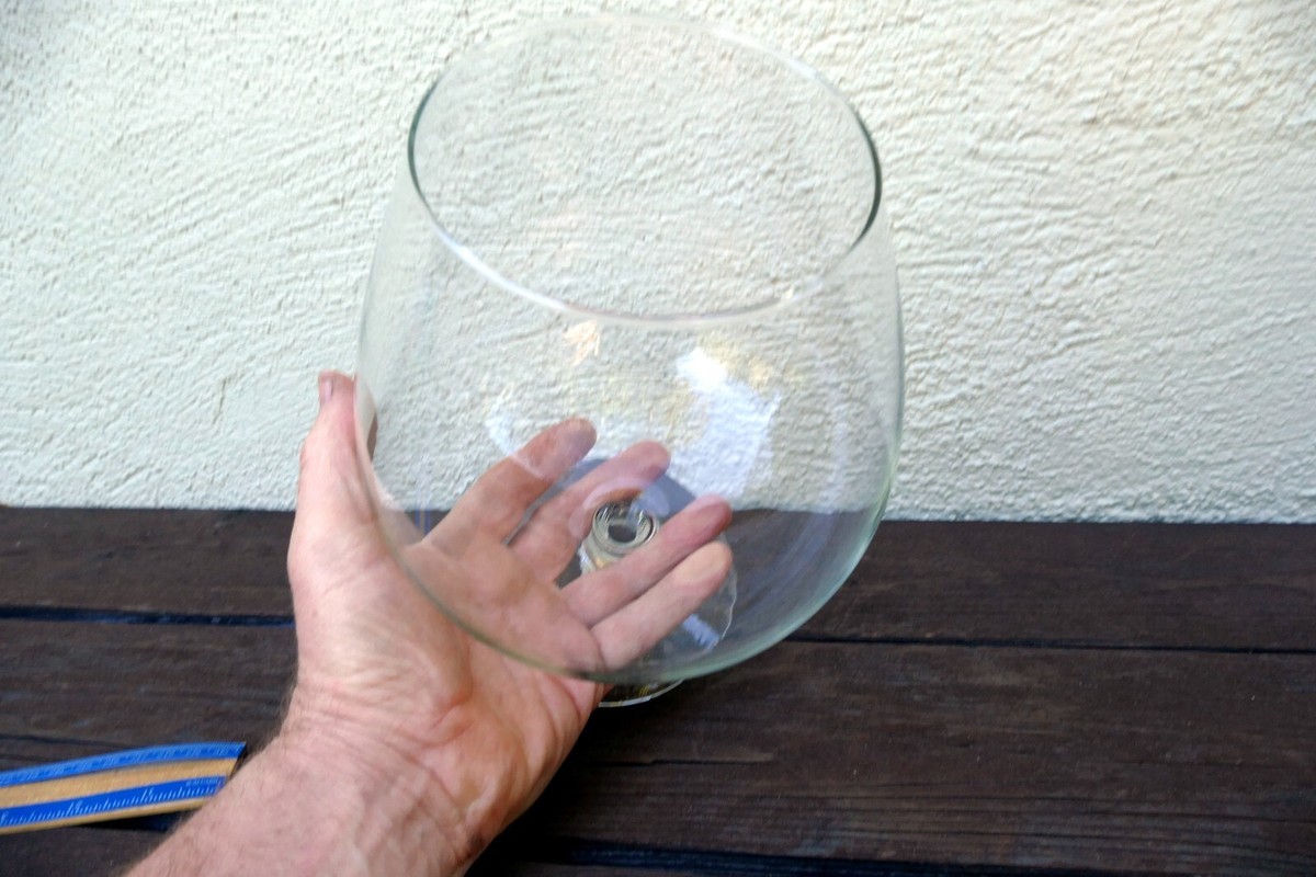 Large Wine Glass Memes Cheezburger Wine Glass I Can Has