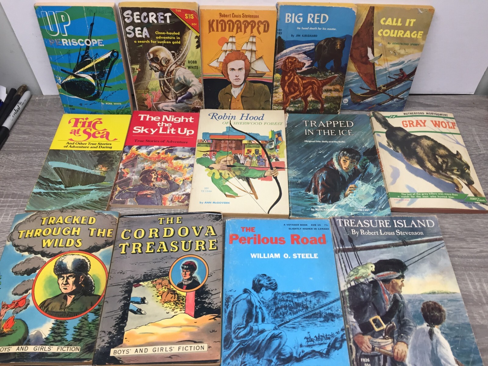 Lot of 18 Vintage Adventure Chapter books Adventure, action, western ...