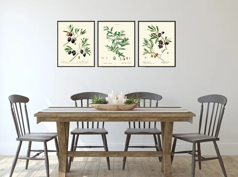Vintage Olives Print Set of 3 Wall Art Antique Olive Tree Branch Italy ...