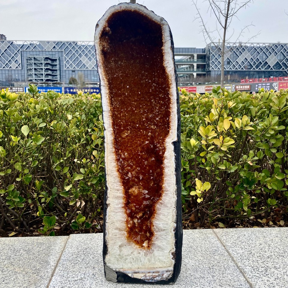 72LB Large natural citrine crystal cave quartz cluster crystal ...