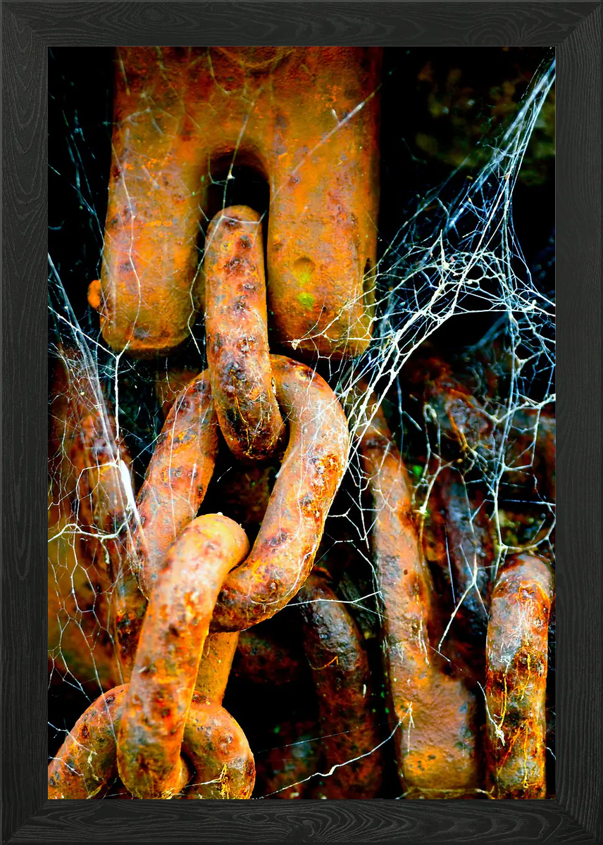 Chains of Life Framed Wall Art Poster Canvas Print Picture | eBay UK