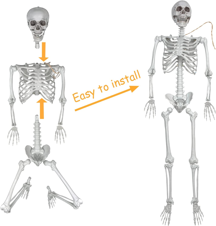 2Packs 5.4Ft Halloween Human Skeletons Life Size Full Body Bones with ...