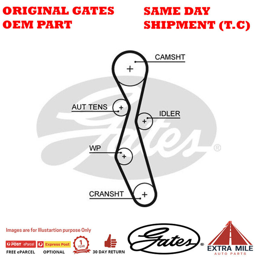 Timing Belt T1603 for PEUGEOT 307 RHR | eBay