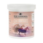 Equiderma Zinc Oxide Paste For Horses 32 Oz By Equiderma 666183100076| eBay