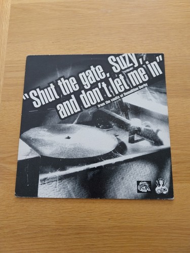 SHUT THE GATE SUZY AND DON'T LET ME IN- GARAGE PUNK VINYL COMPILATION ...