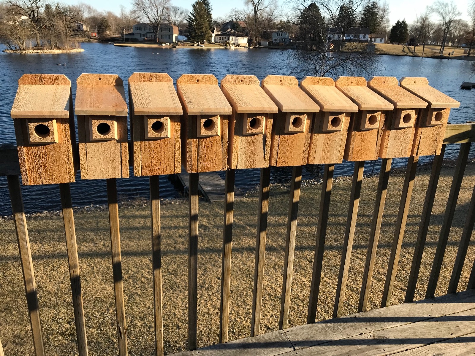 Cedar Bluebird Bird House 3/4" THICK Cedar Birdhouse! Predator Guard ...