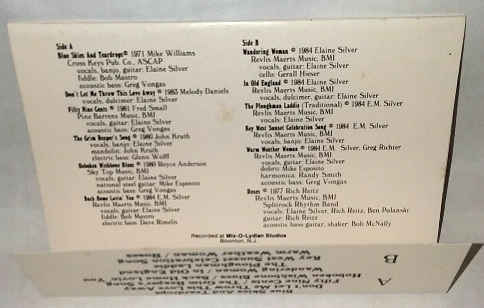 Elaine Silver Wandering Woman Cassette Tape Vintage 1984 Dandelion ...