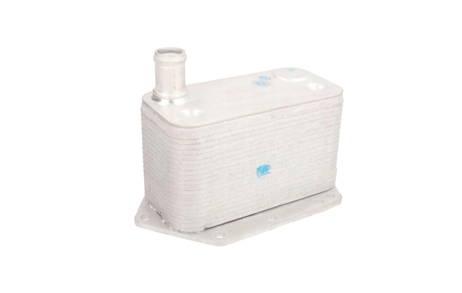 Refrigeratore Radiatore Olio Per BMW Serie 3 5 6 7 X3 X5 X6 11427788462 ...