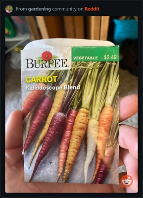 Burpee Carrot Kaleidoscope Blend seeds Organic non-GMO | eBay
