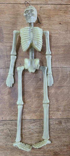 Vintage Halloween Blow Mold Skeleton Jointed Hanging Decoration 18 ...