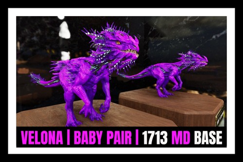 ARK Survival Ascended PvE VELONA VELONASAUR 203 PURPLE Top Pair PC/XBOX ...