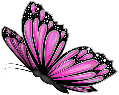 Pink Butterfly Sticker Decal | eBay