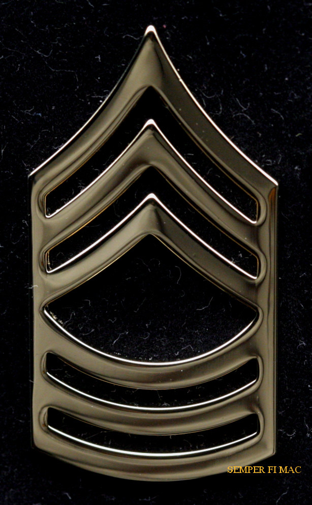 REGULATION US ARMY MASTER SERGEANT E8 GOLD LAPEL HAT PIN MSGT UP VET ...