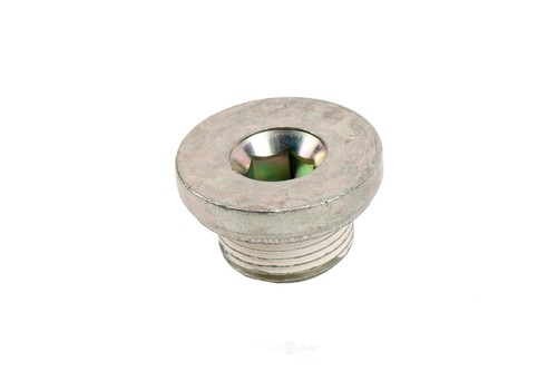 Engine Timing Chain Guide Rail Plug | eBay