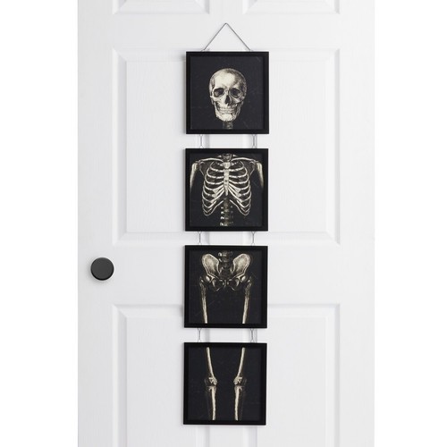 World Market Halloween Spooky Creepy Skeleton Anatomy Four Panel Wall ...
