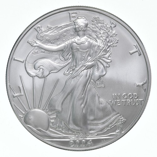 2004 American Silver Eagle Estate Coin Collection *657 | eBay
