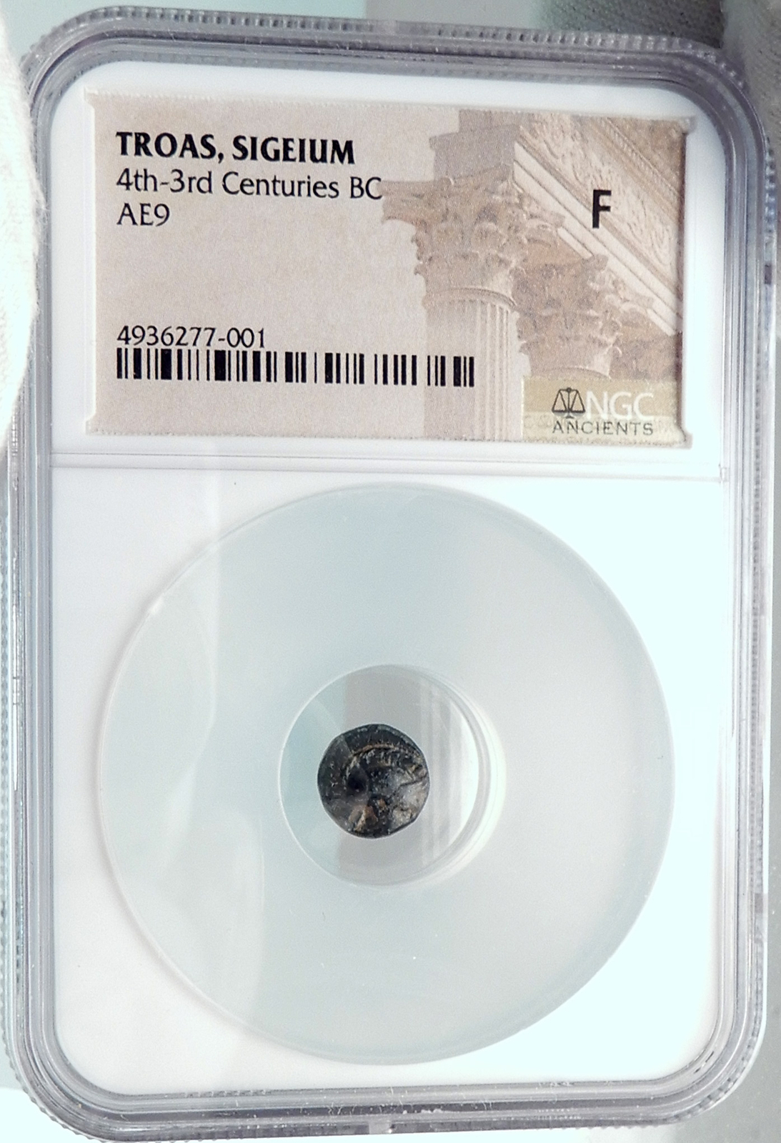 SIGEION in TROAS Authentic Ancient 350BC Greek Coin ATHENA CRESCENT NGC ...
