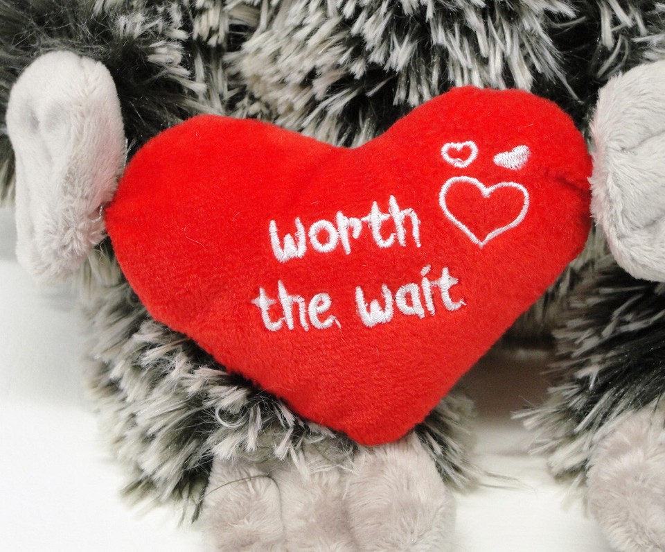 Petting Zoo Valentine Sloth Plush Worth The Wait Heart Patience True ...