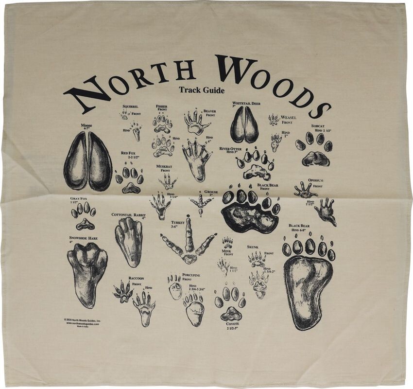 North America Animal Tracks