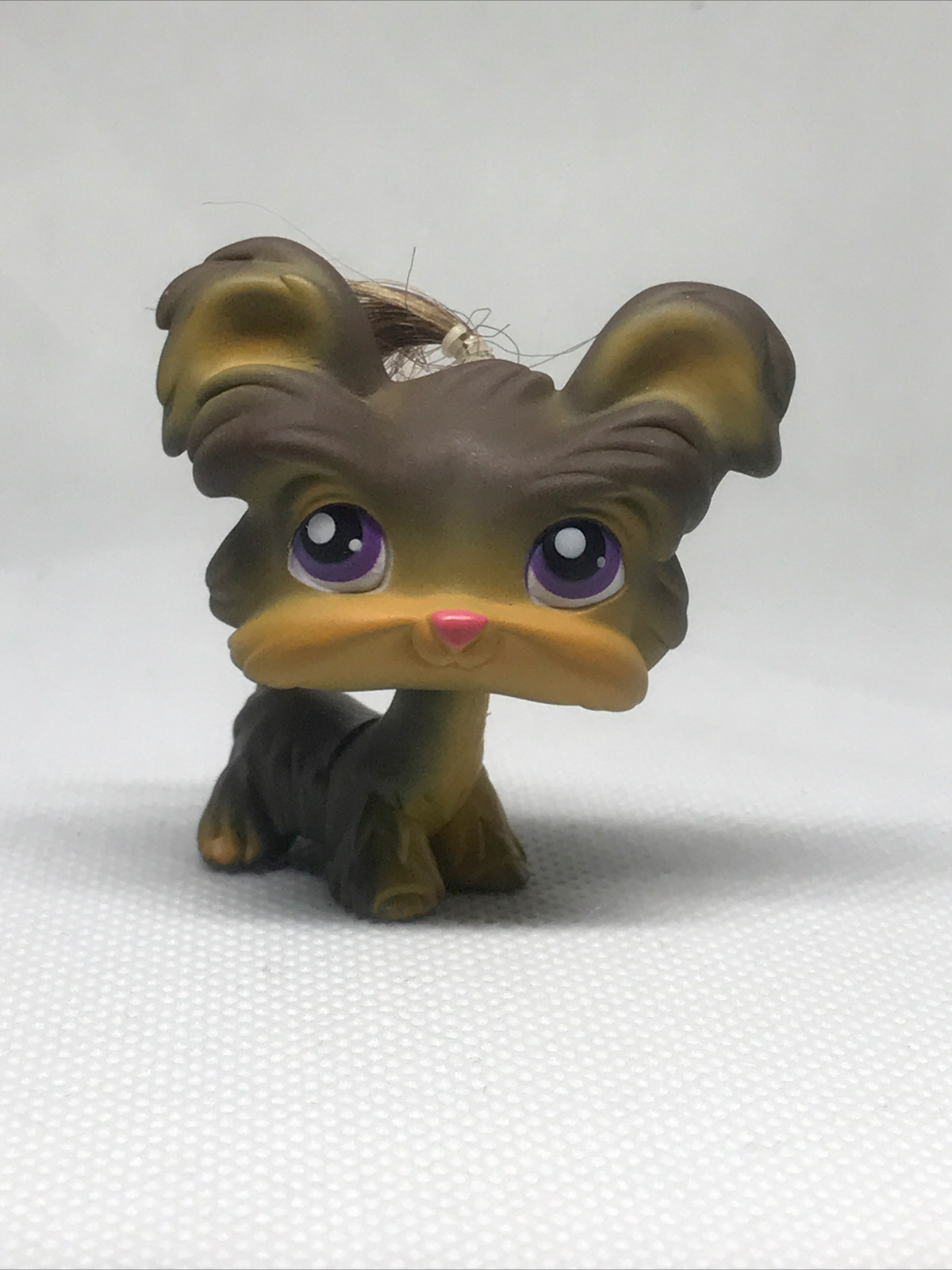 Littlest Pet Shop LPS #398 Shih Tzu Yorkie Dog Dark Brown Tan Purple ...