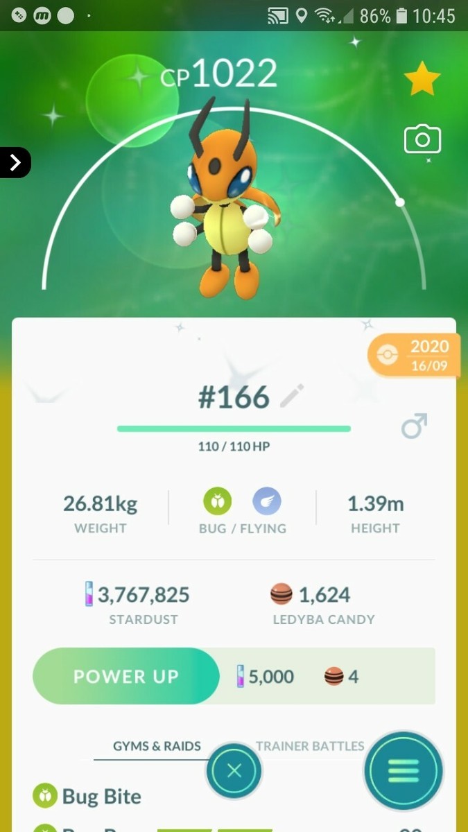 Ledyba Evolution Chart