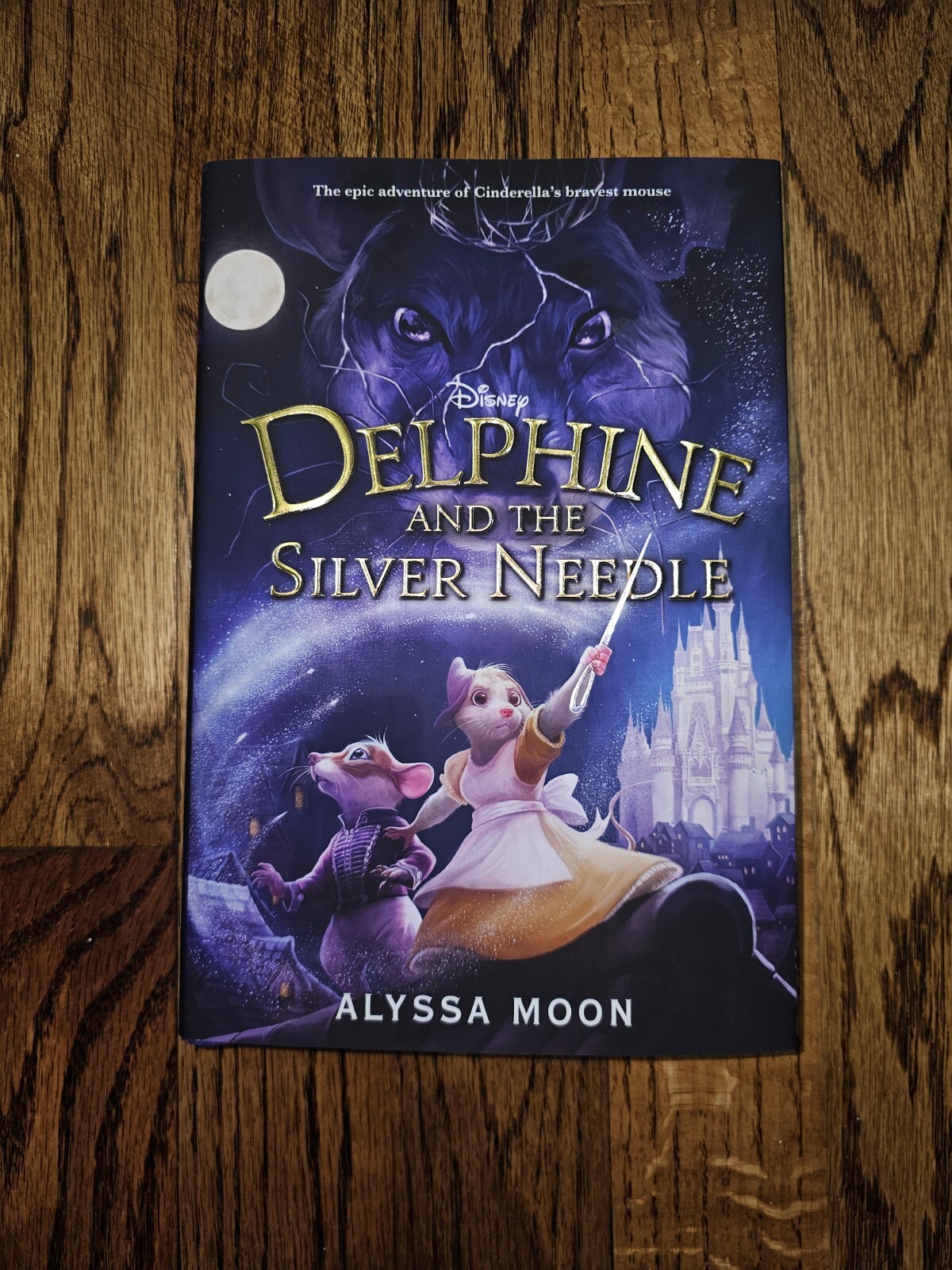 Delphine Ser.: Delphine and the Silver Needle by Alyssa Moon (2021 ...