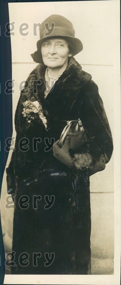 1927 Alice Massey Wife of Canada Governor General Vincent Press Photo ...