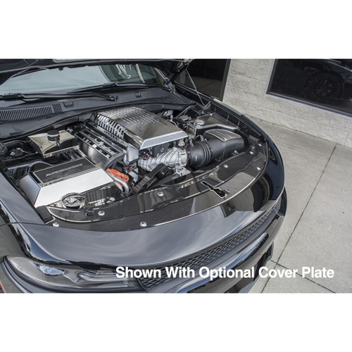 Polished Stainless Steel Fuse Box Cover for 2015-2019 Dodge Challenger ...