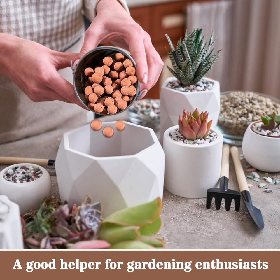 Clay Pebbles for Plants Pebbles Indoor Plants Natural Clay Drainage ...