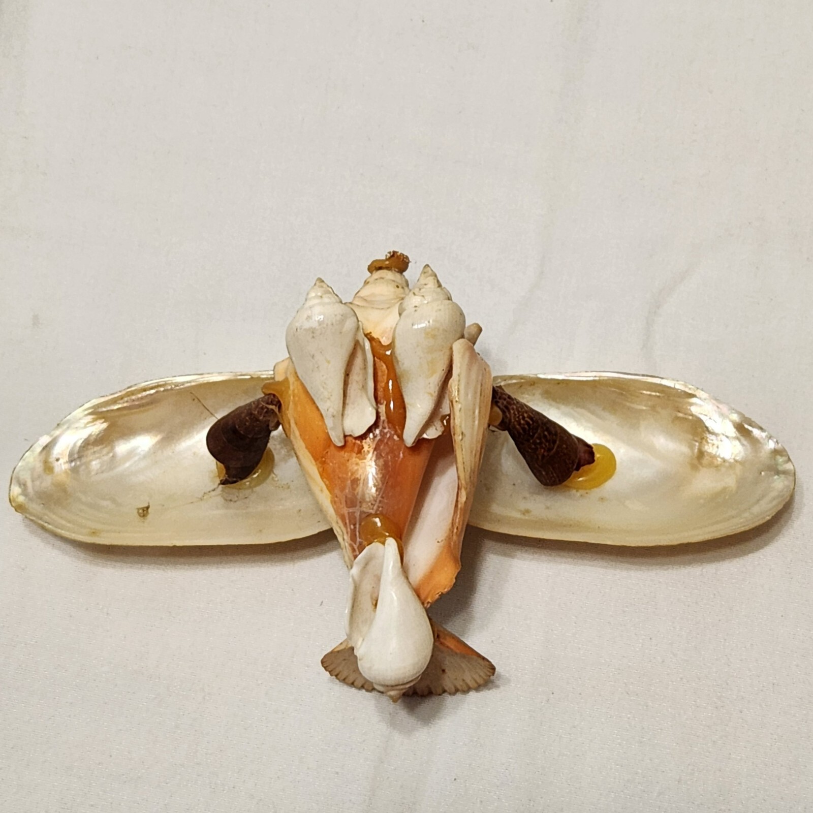 Vintage Hand Crafted Sea Shell Airplane Sculpture Figurine | eBay