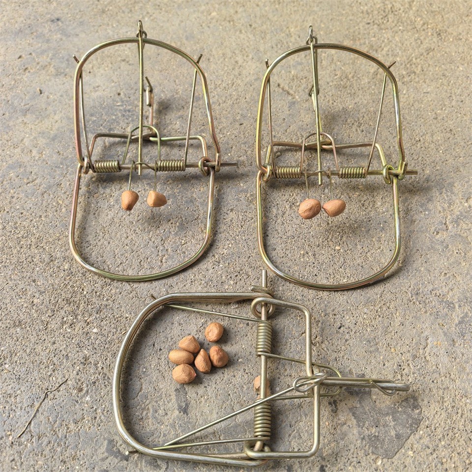 3 Pieces Mouse Traps Rat Mice Killer Snap Trap Power Rodent Heavy Duty ...