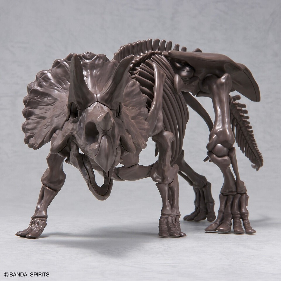 Triceratops Imaginary Skeleton 1/32 Scale Plastic Model Kit Bandai ...