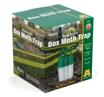 Buxus Box Moth Natural Pheromone Trap OR Refill Available - Please ...