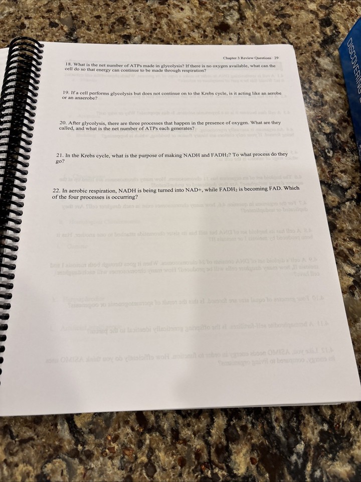 Discovering Design with Biology Jay Wile Berean Builders Text Answers ...