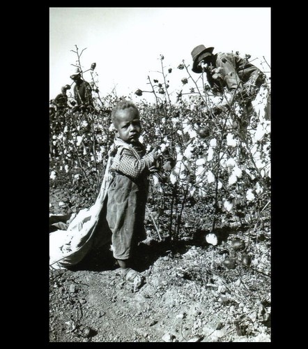 Baby Black Cotton Picker Boy PHOTO Great Depression, Farm Worker Child ...